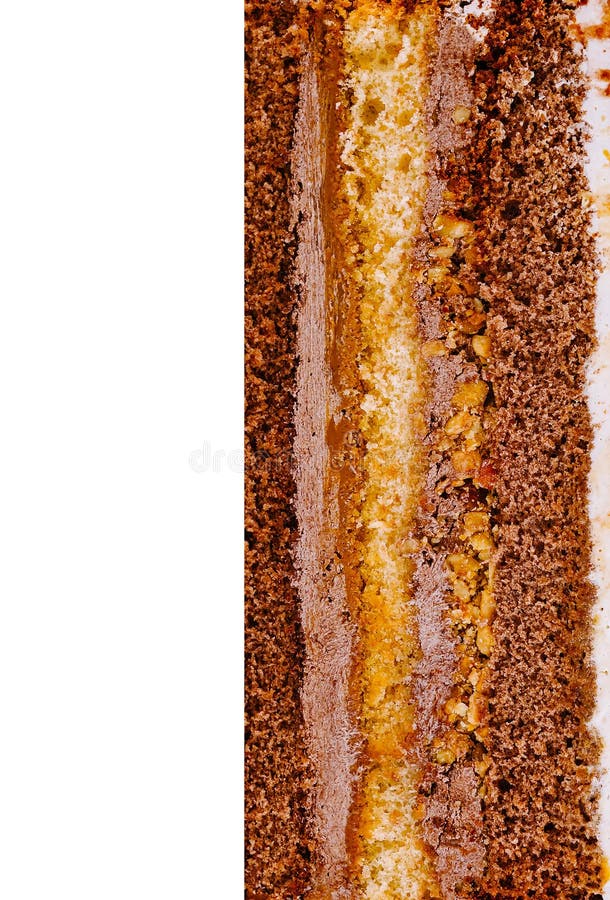Delicious Chocolate Cake Layers with Filling Showing Texture Stock ...