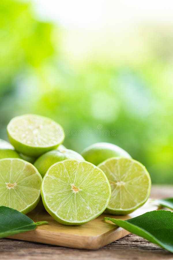 Fresh Young Green Lemon Tree Green Blur Background Stock Photos - Free ...