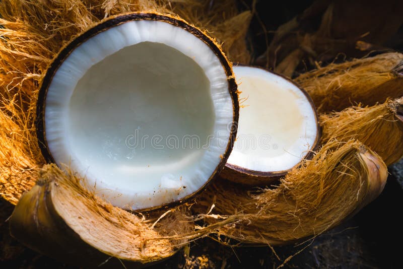 Close Up of a Sliced Coconut Stock Photo - Image of nature, fresh ...