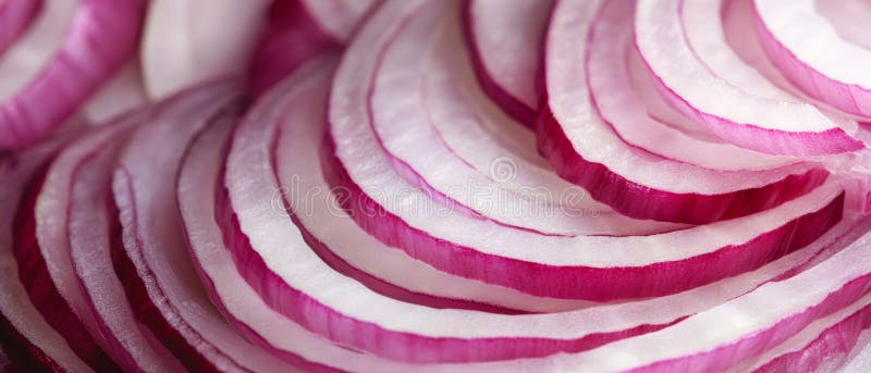 Close-up of Sliced Red Onion with Visible Layers Stock Illustration ...