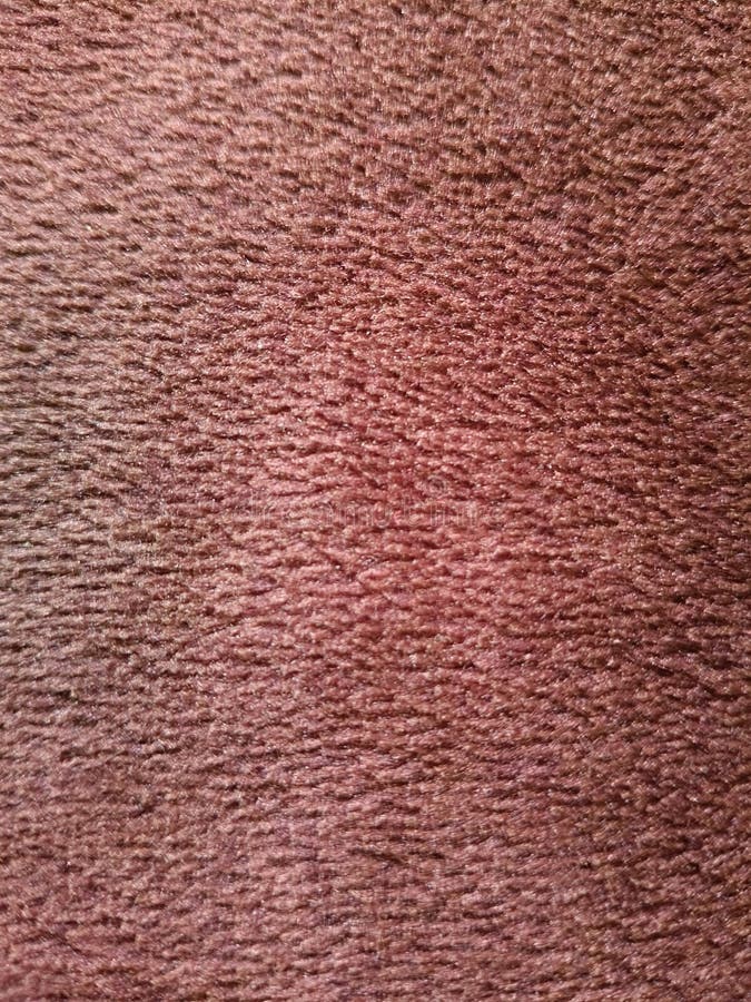 A Close-up, Slightly Angled View of a Textured, Carpet-like Surface ...