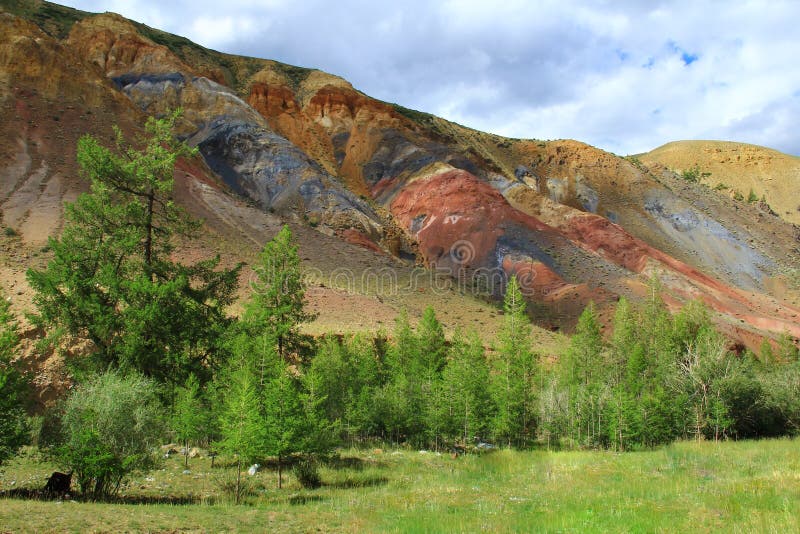 Close-up Slopes of Sandy-stone Multi-colored Mountains with Trees and a ...