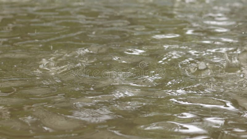 Water Drops Falling in the Rain Puddle Stock Footage - Video of ripple ...