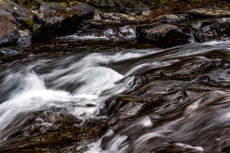 Close-up of the Slow Water Flow of a Mountain Stream Stock Photo ...