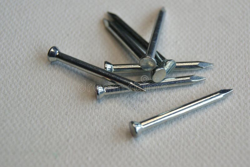 Close Up of a Small Carpentry Metal Nails on a White Background Stock ...