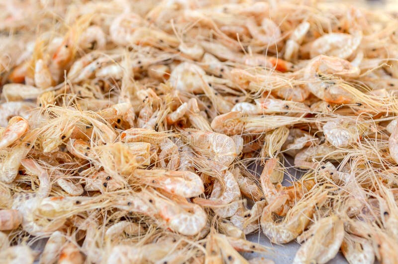 Small dried shrimp stock image. Image of dried, thailand - 141350543