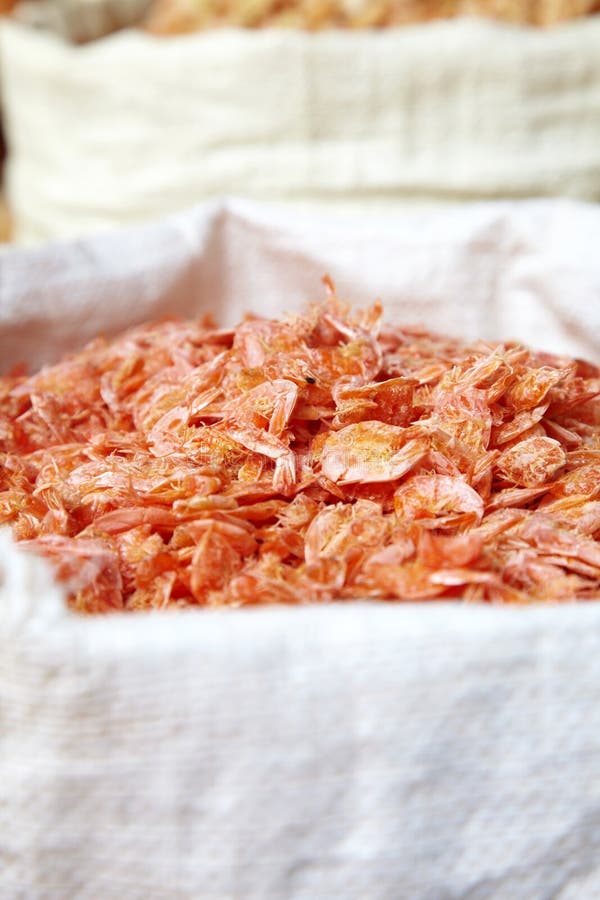 Close up small dry shrimp stock photo. Image of close - 41343006