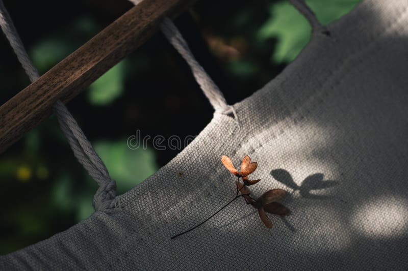 Close-up of a Small Flower on a Piece of Fabric, Attached To a String ...