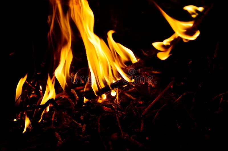 A small orange-yellow fire stock image. Image of branches - 189403731