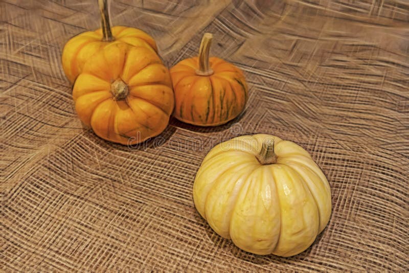 Small Pumpkins on Wicker Fabric Stock Photo - Image of fall, grinning ...