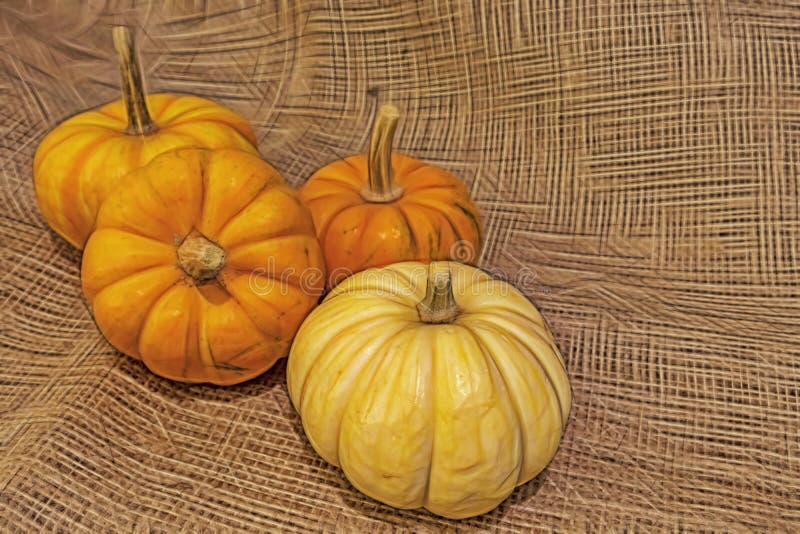 Small Pumpkins on Wicker Fabric Stock Image - Image of decorative ...