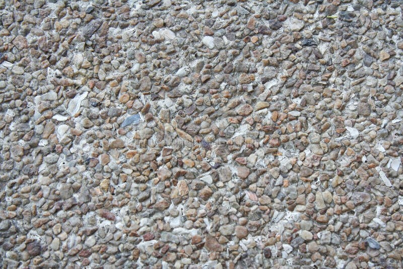 Small rock and shells stock image. Image of brown, concept - 133921967