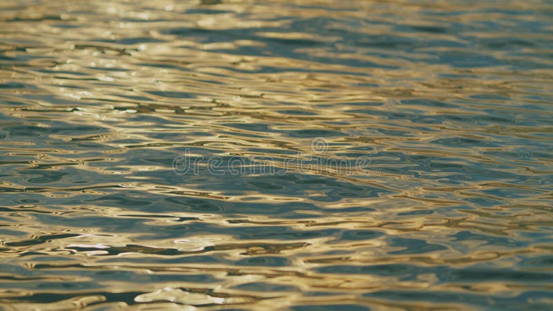 Small and Soft Water Waves with Shallow Depth of Field. Light Rays ...