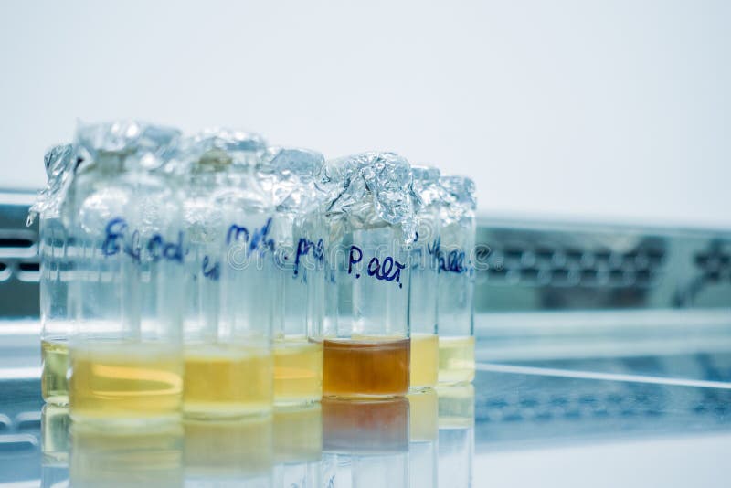 Close-up Small Test Tubes for the Experiment. Stock Image - Image of ...