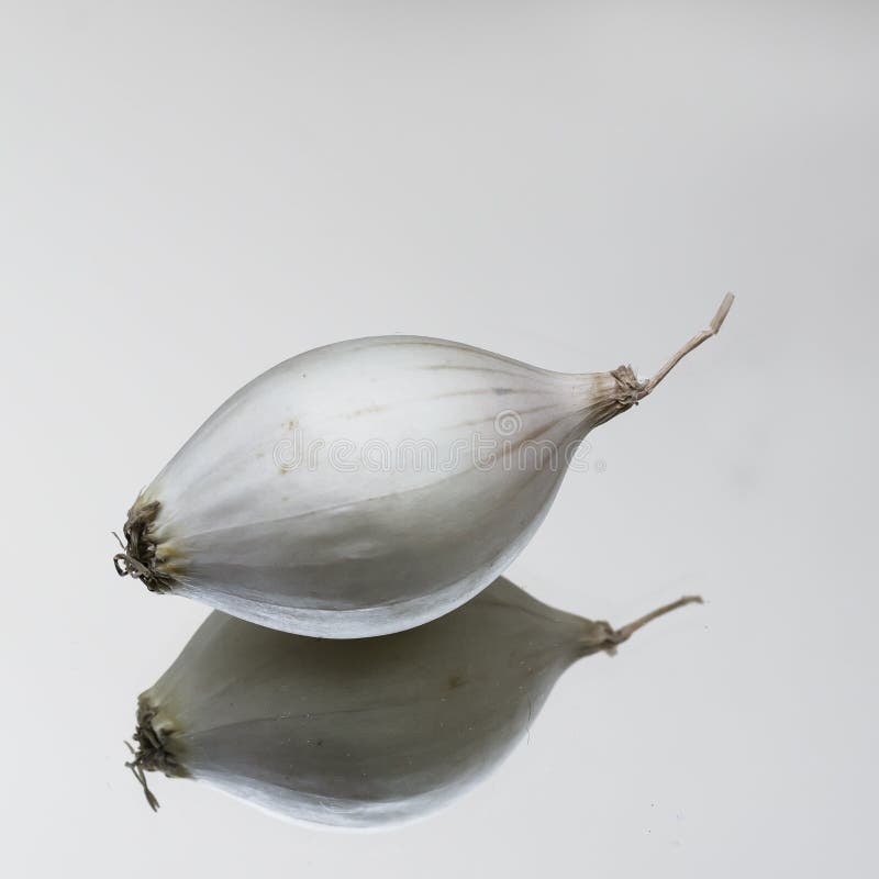 The pearl onion stock photo. Image of tree, produce - 251627558