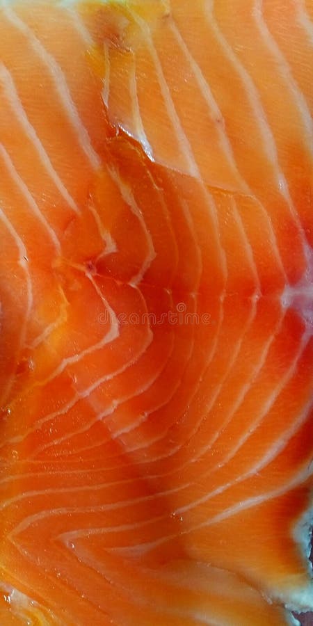 Texture of the Meat of Salmon Close Up Stock Photo - Image of dish ...