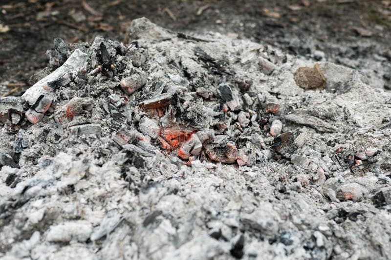 Close-up of Smoldering Coals of an Extinguished Fire among the Ashes ...
