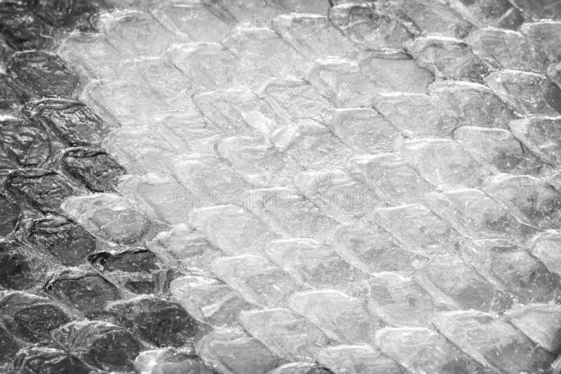 Close Up Snake Scale Skin with Nature Seamless Patterns Black and White ...