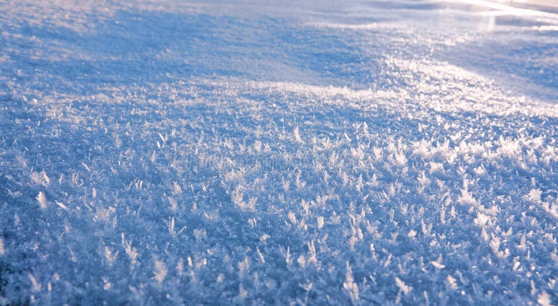 Snowfield stock photo. Image of winter, snowfield, white - 269393596