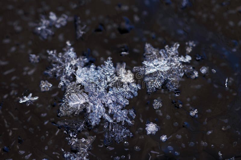 Close-up of Snowflakes in Winter. Snowflakes Look Like Stars Stock ...