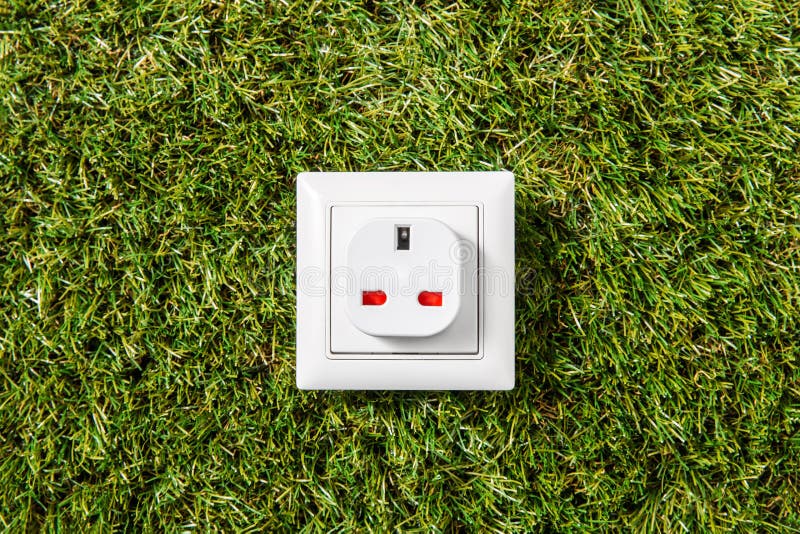 Close Up of Socket on Green Grass Background Stock Image - Image of ...
