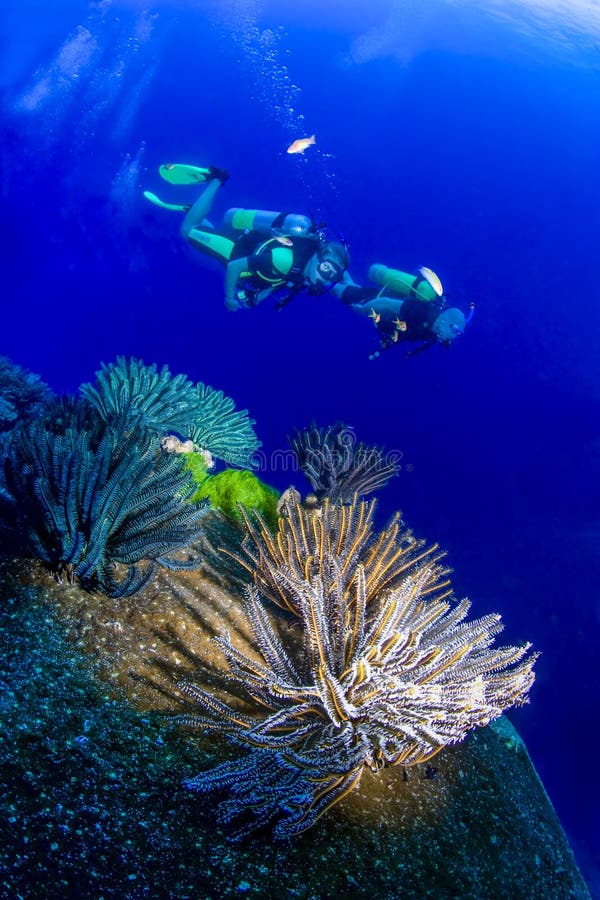 Scuba Divers on Lake Garda, Italy Editorial Stock Photo - Image of ...