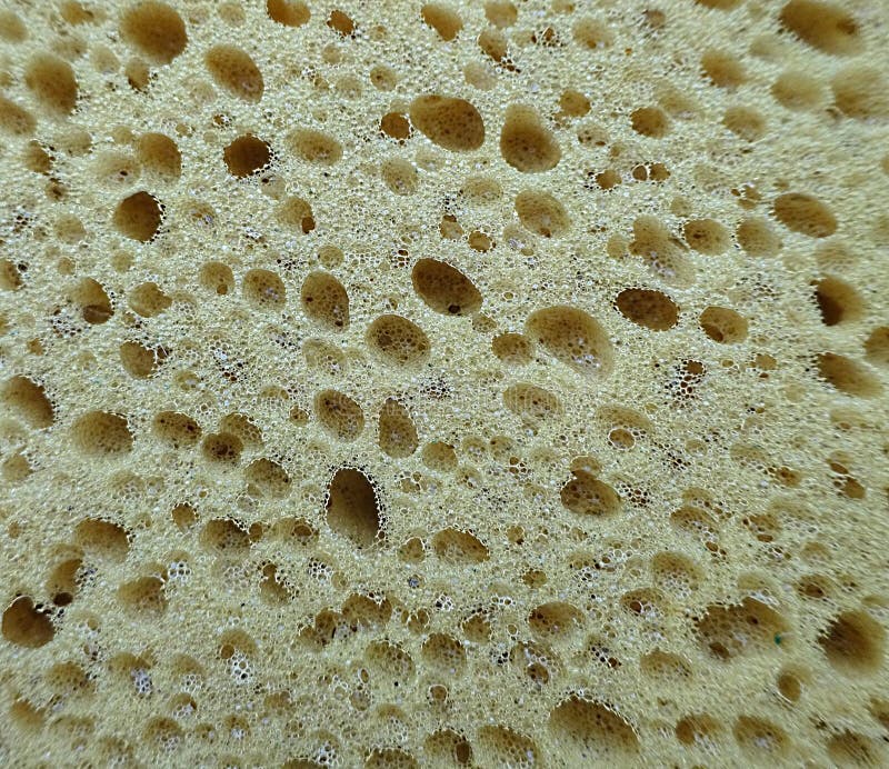 Close Up Soft Sponge Abstract Texture Surface Stock Image - Image of ...