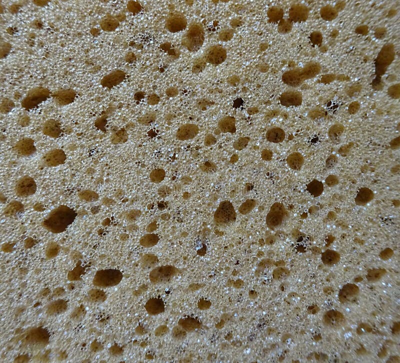Close Up Soft Sponge Abstract Texture Surface Stock Image - Image of ...