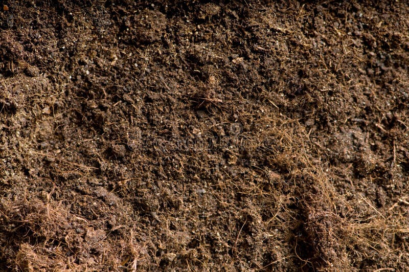Close up of soil stock photo. Image of environmental - 15219662