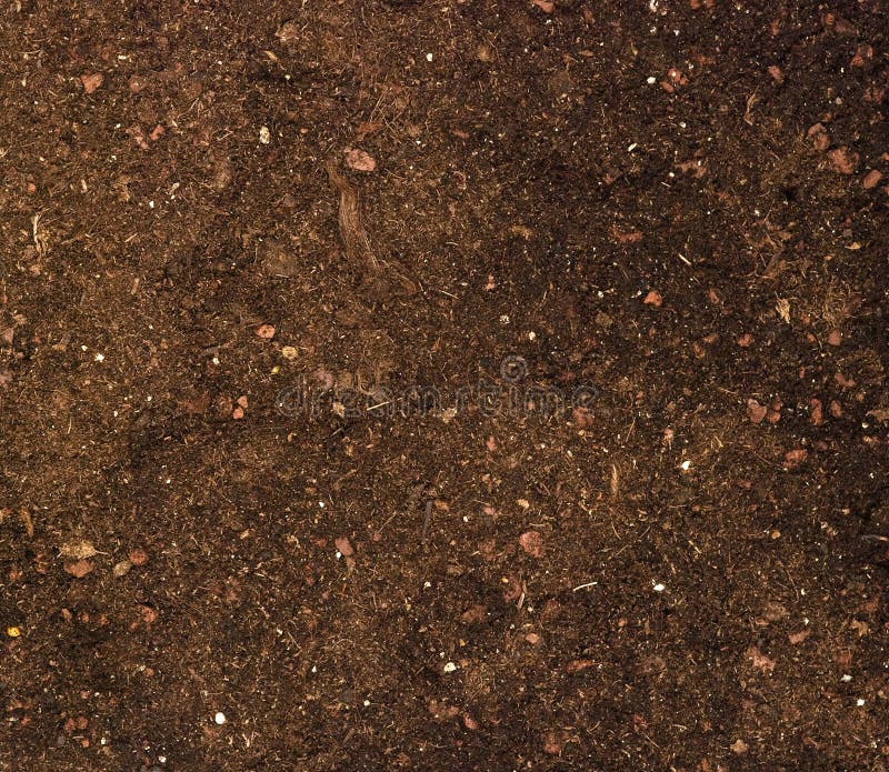 Close up of soil stock photo. Image of nature, earth - 16574226