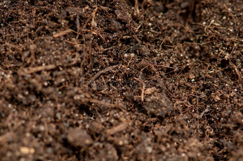Close up of soil stock photo. Image of environmental - 15219662