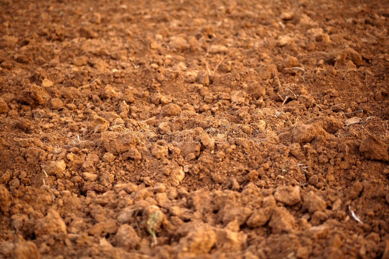 Close up Soil stock photo. Image of nature, meadow, dirt - 23008846