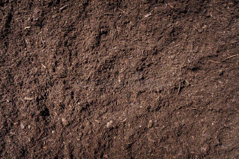 Close Up of Soil Background Stock Image - Image of dirt, soil: 248694889
