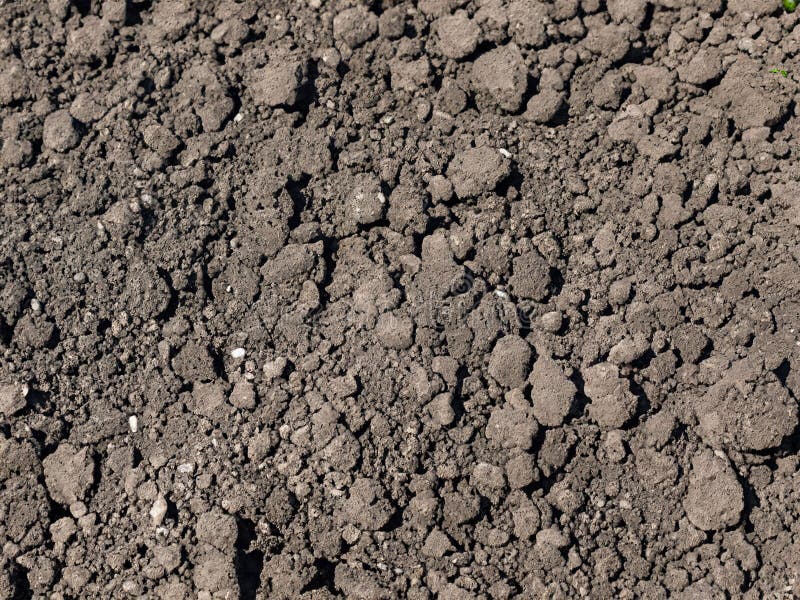 Soil Background Texture. Top View of the Ground Stock Image - Image of ...