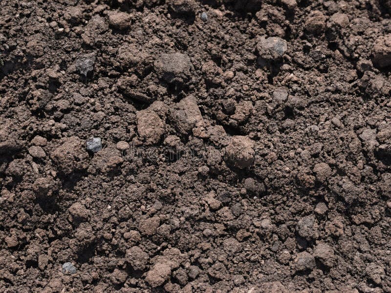 Soil Background Texture. Top View of the Ground Stock Photo - Image of ...