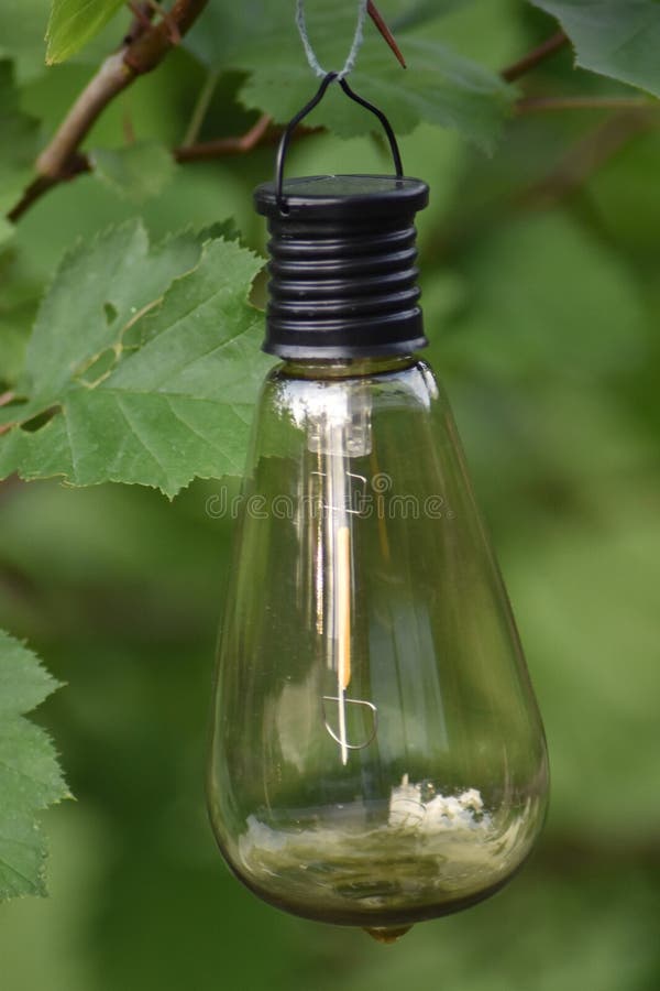 A Shot of a Clear Lightbulb Stock Image - Image of gluehbirne, balcony ...