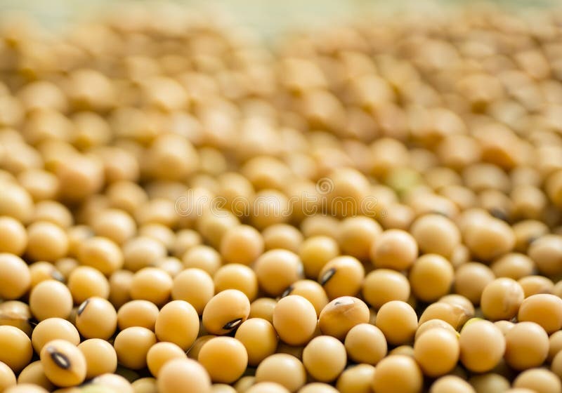 Soybean Frame Stock Illustrations – 103 Soybean Frame Stock ...