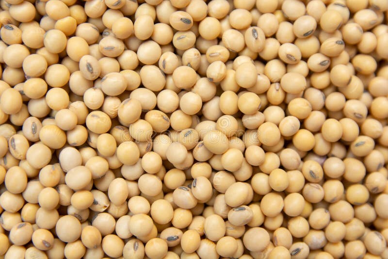 Close Up Soybean Pattern As Background Stock Image - Image of oriental ...