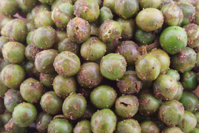 Botswana Indegenous Fruits; Mogwana Stock Image - Image of wild, cattle ...