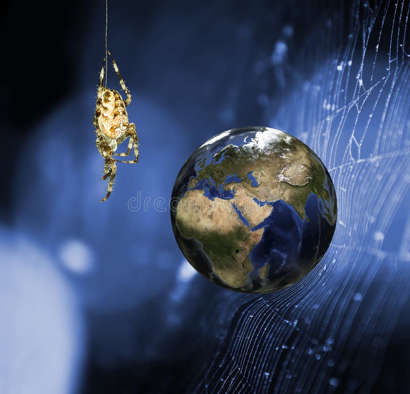 145 Globe Spider Stock Photos - Free & Royalty-Free Stock Photos from ...