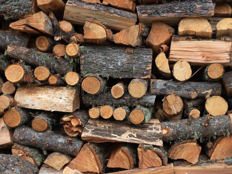 Stacked Split Lumber for Firewood Stock Photo - Image of branches ...