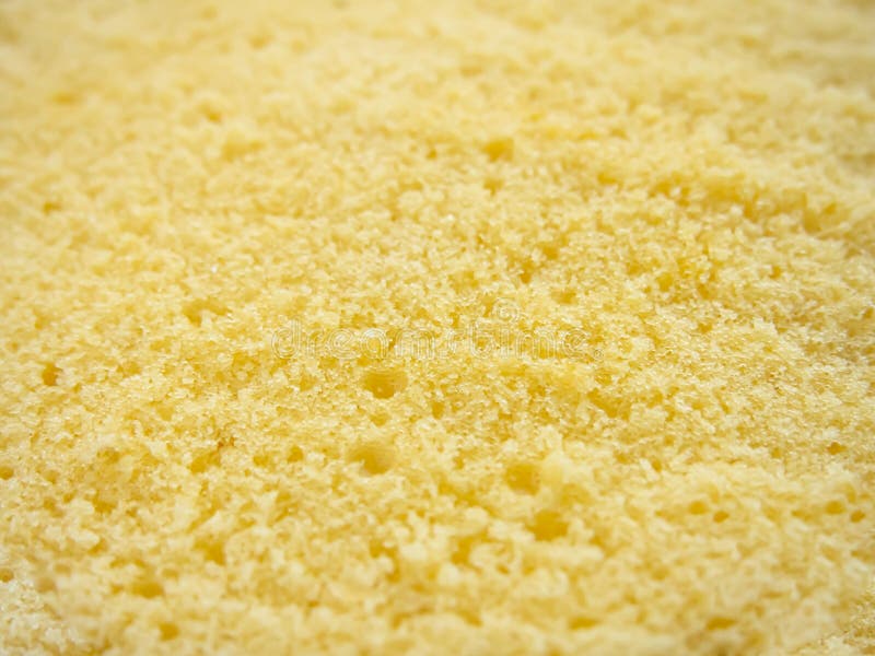 Close Up Spounge Cake Texture Stock Photo - Image of color, french ...