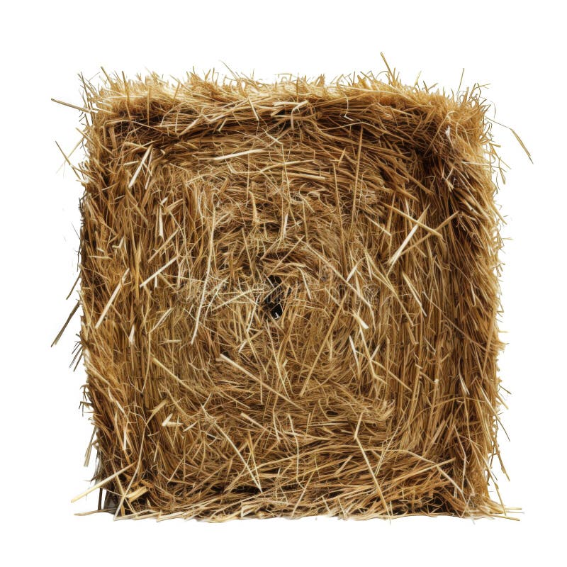 A Close-Up of a Square Hay Bale Stock Image - Illustration of texture, fall: 330972123