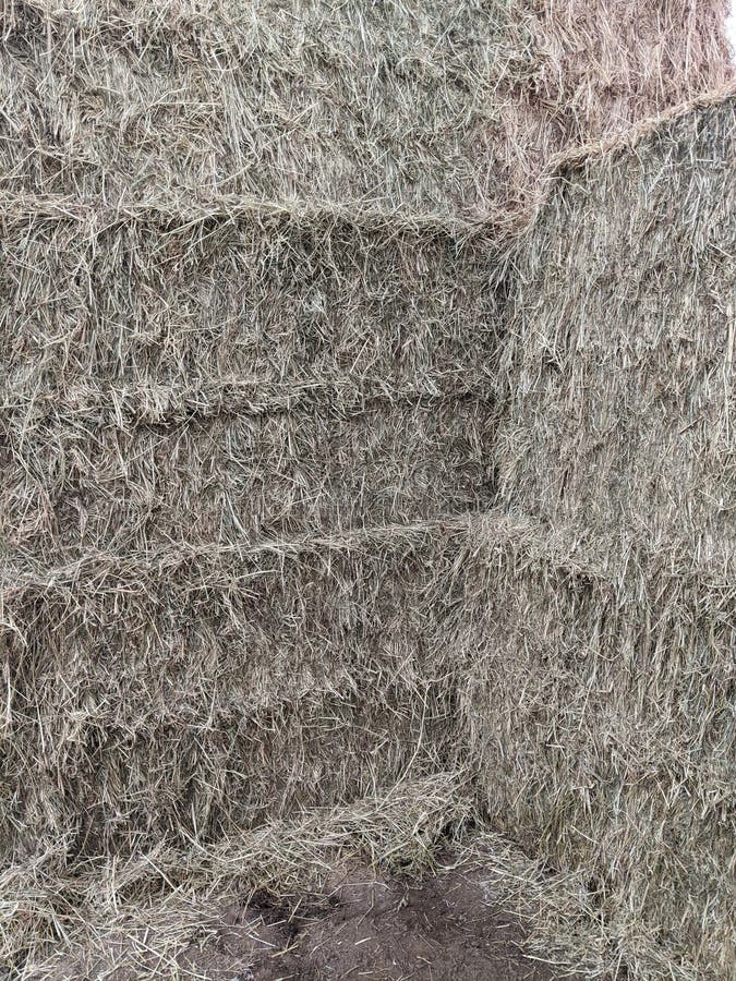 A Close-up of Square Hay Bales Stacked on Top of Each Other Stock Image ...