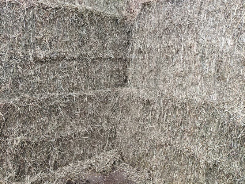 A Close-up of Square Hay Bales Stacked on Top of Each Other Stock Image ...