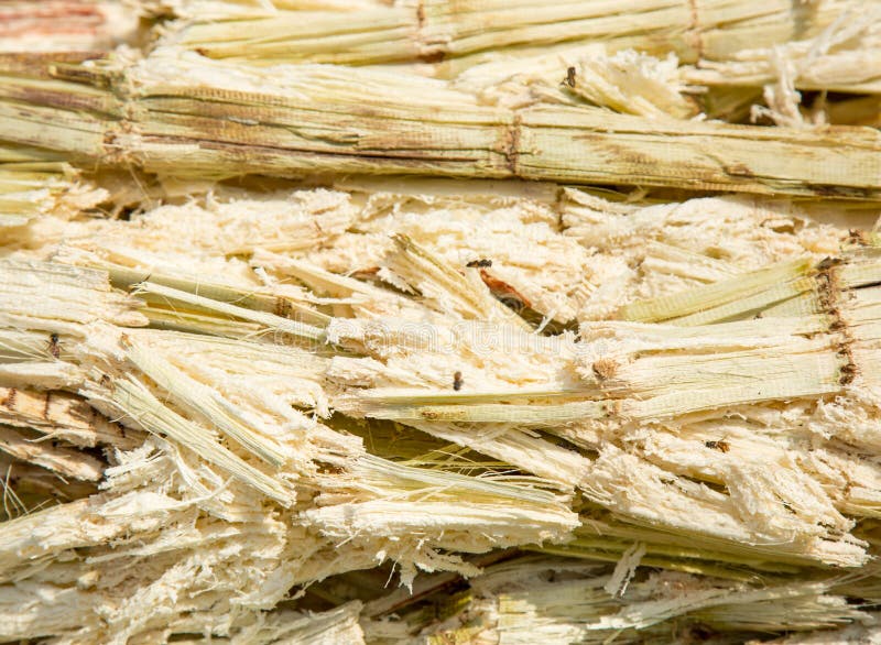 Sugar Cane Bagasse Ash Stock Photos - Free & Royalty-Free Stock Photos ...