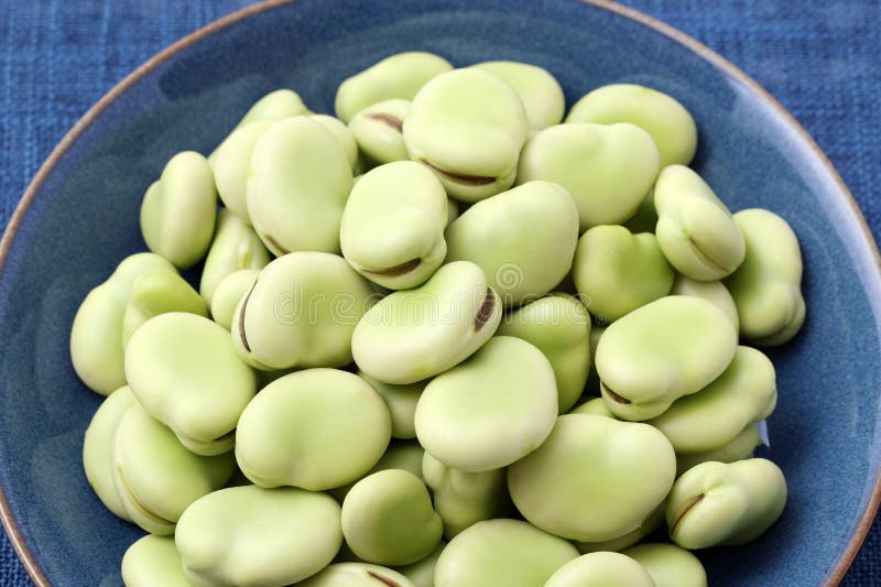 Stack of Broad Beans in a Plate Stock Image - Image of food, soybean ...