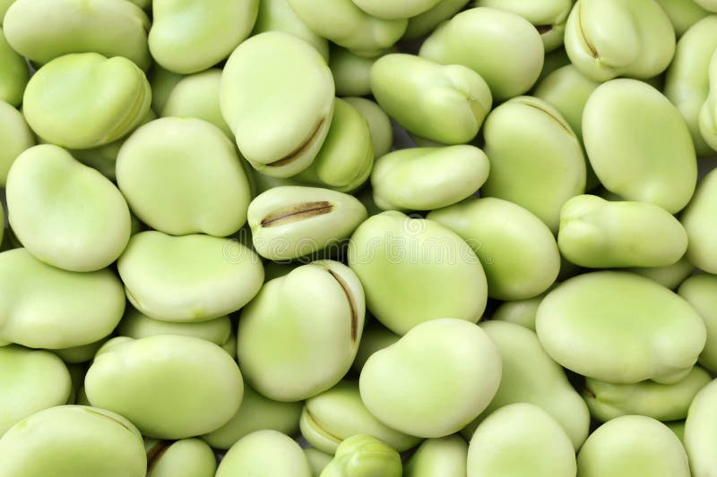 Stack of Broad Beans Texture Background Stock Photo - Image of nature ...