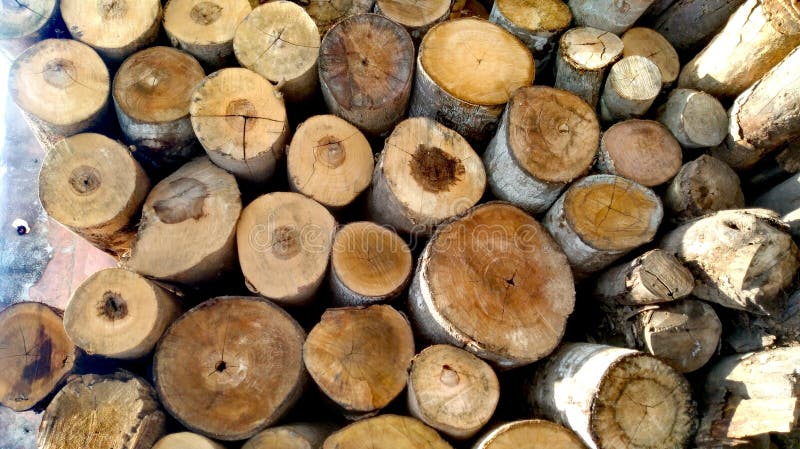 Stack of firewood stock photo. Image of branch, close - 271577766