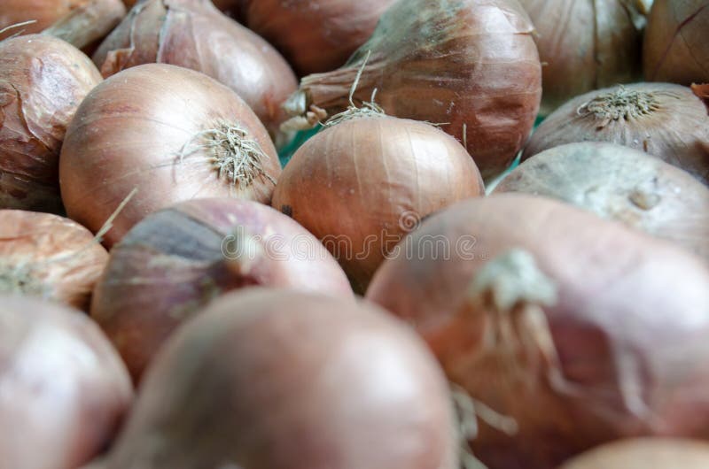 Close-up on a Stack of Onions on a Market Stall Stock Photo - Image of ...